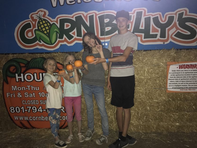 How to Build a Treeless Tree house – Part 1 – Footings and Deck – LRN2DIY